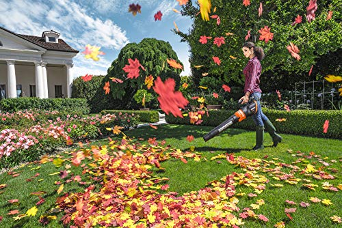 WORX 20V Turbine Cordless Two-Speed Leaf Blower Power Share - WG547 (Battery & Charger Included)