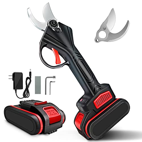 HOOUP Electric Pruning Shears for gardening tree trimming,Professional Cordless Electric Pruning  with 2 PCS Rechargeable 2Ah Lithium Battery and 25mm Cutting Diameter, Tree Branch Pruner (Black)