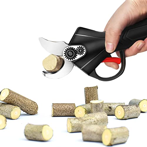 HOOUP Electric Pruning Shears for gardening tree trimming,Professional Cordless Electric Pruning with 2 PCS Rechargeable 2Ah Lithium Battery and 25mm Cutting Diameter, Tree Branch Pruner (Black)