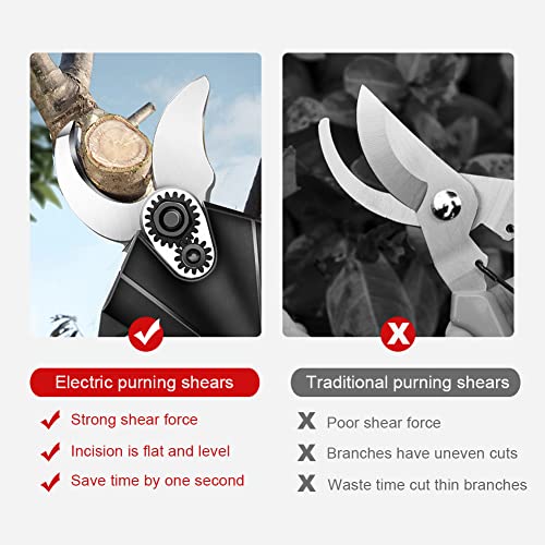 HOOUP Electric Pruning Shears for gardening tree trimming,Professional Cordless Electric Pruning with 2 PCS Rechargeable 2Ah Lithium Battery and 25mm Cutting Diameter, Tree Branch Pruner (Black)