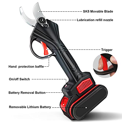 HOOUP Electric Pruning Shears for gardening tree trimming,Professional Cordless Electric Pruning with 2 PCS Rechargeable 2Ah Lithium Battery and 25mm Cutting Diameter, Tree Branch Pruner (Black)