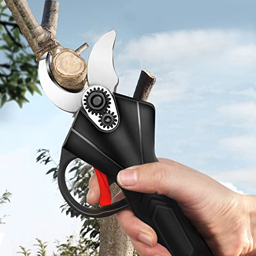 HOOUP Electric Pruning Shears for gardening tree trimming,Professional Cordless Electric Pruning with 2 PCS Rechargeable 2Ah Lithium Battery and 25mm Cutting Diameter, Tree Branch Pruner (Black)