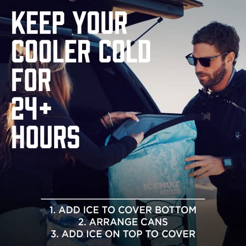 ICEMULE Pro Large Collapsible Backpack Cooler – Hands Free, 100% Waterproof, 24+ Hours Cooling, Soft Sided Cooler for Hiking, Camping, Fishing & Picnics, 23 Liter, Fits 18 Cans + Ice, Grey