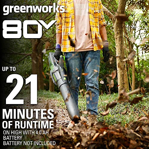 Greenworks Pro 80V (170 MPH / 730 CFM) Brushless Cordless Axial Blower, Tool Only BL80L02