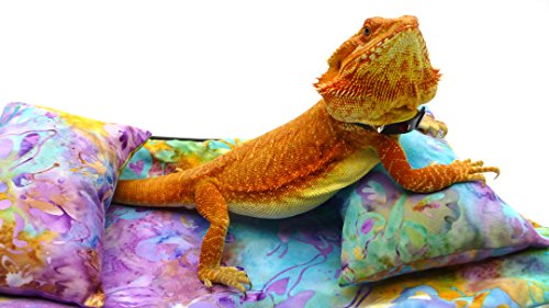 Chaise Lounge for Bearded Dragons, Watercolor Flowers Fabric