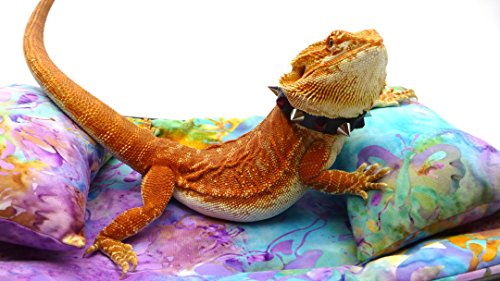 Chaise Lounge for Bearded Dragons, Watercolor Flowers Fabric