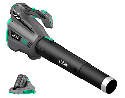 Litheli Cordless Leaf Blower 40V, Battery Leaf Blowers for Lawn Care, with Brushless Motor, Axial Blower for Blowing Leaf, Dust, Snow, Debris, with 2.5Ah Battery & Charger Included, Black