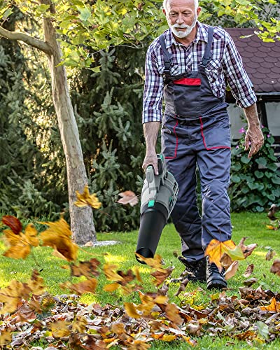 Litheli 20V Cordless Leaf Blower, 350 CFM 85 MPH Battery Leaf Blower, Variable Speeds Leaf Blower for Cleaning Leaves, Dust, Snow, Lawn, Yard, 4.0Ah Battery & Fast Charger Included