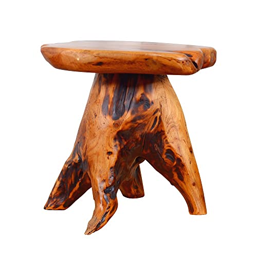 Brefhome Tree Stump Side Table Natural Edge Cedar Real Wood End Table,Small Wooden Mushroom Stool, Indoor/Outdoor