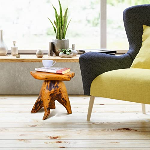 Brefhome Tree Stump Side Table Natural Edge Cedar Real Wood End Table,Small Wooden Mushroom Stool, Indoor/Outdoor