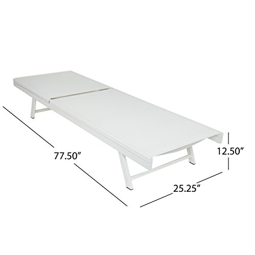 Christopher Knight Home Simon Outdoor Aluminum and Mesh Chaise Lounge, White/White