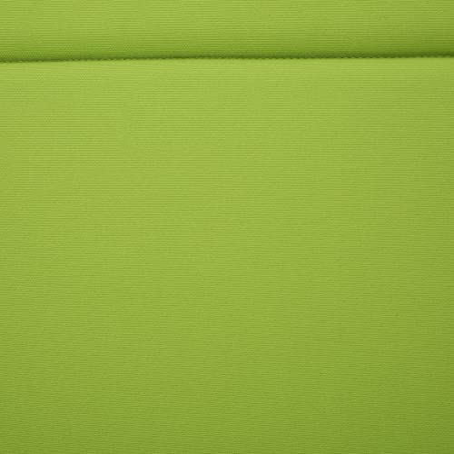 Christopher Knight Home Salem Outdoor Water Resistant Chaise Lounge Cushion, Green