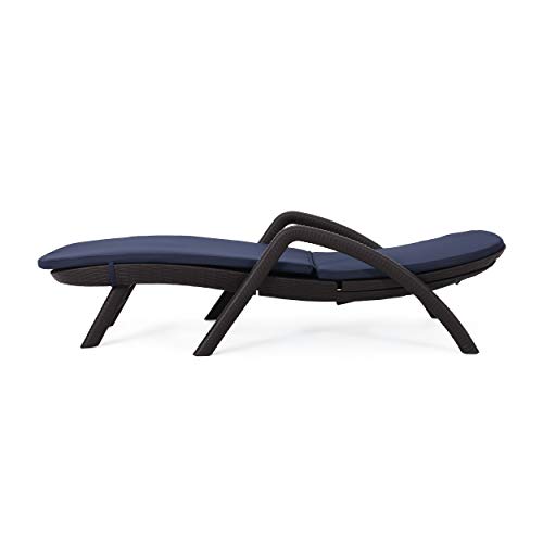 Christopher Knight Home Chaise Lounge Set, Dark Brown + Navy Blue