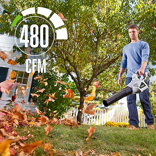 EGO Power+ LB4800 480 CFM 3-Speed Turbo 56-Volt Lithium-Ion Cordless Electric Blower - Battery and Charger Not Included , Black