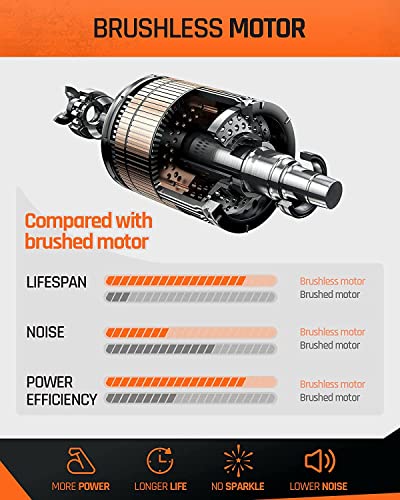 FIILPOW 20V 450CFM Leaf Blower, Brushless Blower Cordless with 4.0Ah Battery and Fast Charger, Turbo Mode & Variable Speed Trigger and Lock Dial, Lightweight Axial Blower for Lawn Care, Yard, Driveway