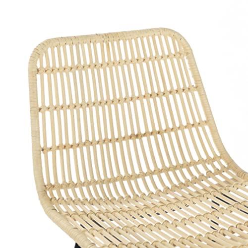 ECLYL Natural Rattan Counter Stool 25" Counter Height Bar Stools Rattan Bar Stools Indoor Stools Rattan Counter Stools Set of 2 Black Finish Steel Legs Woven Bar Stool 17.5" Wx20 Dx34 H (Natural)