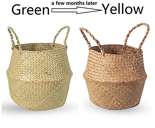 BrilliantJo Seagrass Belly Basket, Set of 2 Woven Plant Pot Holder handmade Home Decor for Storage Plants Picnic Grocery Medium(10.63 x 9.44 inch)