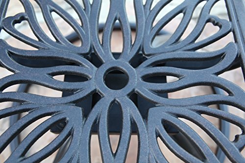 GrandPatioFurniture.com 2 CBM Elisabeth Collection 2 Cast Aluminum Swivel Rockers with 2 Cushions