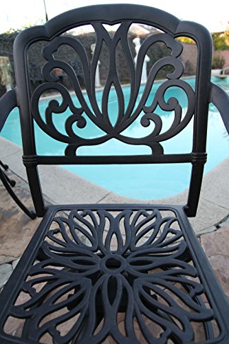 GrandPatioFurniture.com 2 CBM Elisabeth Collection 2 Cast Aluminum Swivel Rockers with 2 Cushions