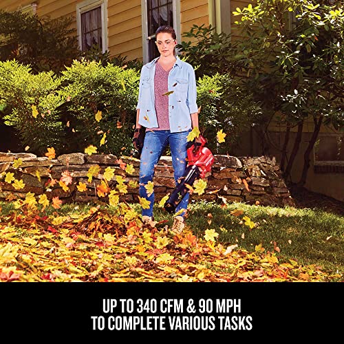 CRAFTSMAN 20V MAX WEEDWACKER String Trimmer and Leaf Blower Combo Kit, Battery and Charger Included (CMCK197M1 )