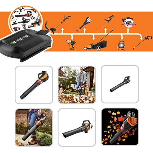 Cell9102 Replacement Worx 20V Battery and Charger Starter Kit, WA3520 Lithium Battery and Charger WA3742 Compatible with Worx 20-Volt Cordless Power Tools