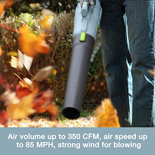 WORKPRO 20V Cordless Leaf Blower, Electric Gardening Tool Powered Sweeper, with 2.0Ah Battery and 1 Hour Quick Charger Included