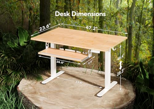 INNOVAR Bamboo Electric Standing Desk, 48×24 Inch Adjustable Desk with Keyboard Tray, Stand up Home Office Desk with Whole-Piece Board, White Frame/Bamboo Top