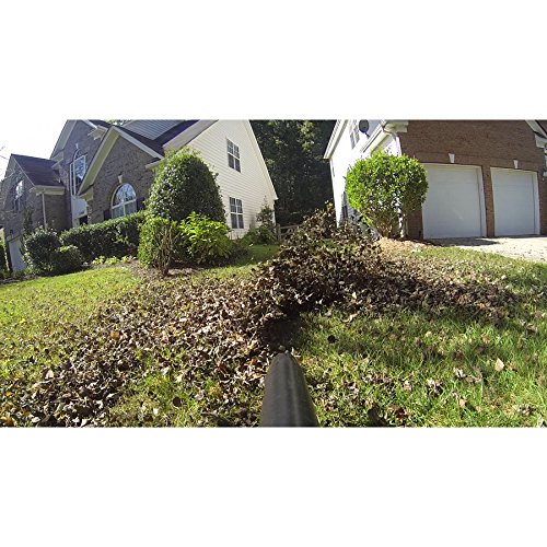 Kobalt 80-Volt Max Lithium Ion (Li-ion) 500-CFM 125-MPH Heavy-Duty Brushless Cordless Electric Leaf Blower (Bare Tool Only, Battery and Charger Not Included)