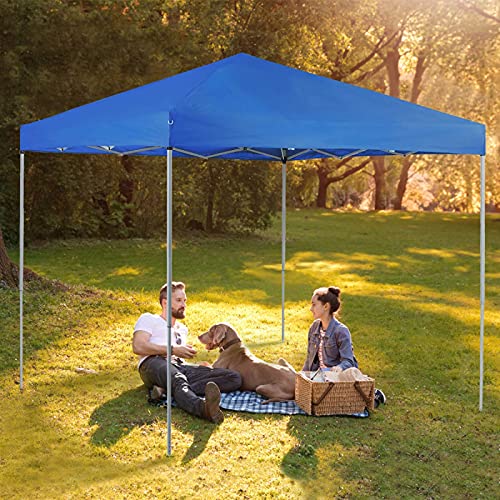 Canopy Tent Outdoor Canopy Party Shade 10 x 10ft Portable Pop Up Canopy Event Tent Party Tent Water Resistant Spacious Summer Cover Instant Canopy Shelter Tent with Wheeled Carry Bag