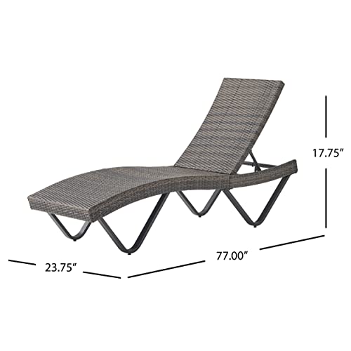 Christopher Knight Home San Marcos Chaise Lounge, Grey