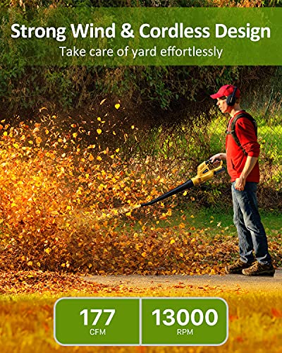 OMOTE Cordless Leaf Blower with Battery & Charger, Low Noise, Lightweight, Easy One-Button Control, Battery Powered, 177 CFM for Blowing Leaves, Lawn Care, Dust & Other Debris