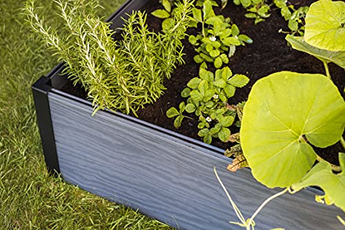 Keter Maple Raised Garden Bed, Durable Outdoor Planter for Vegetables, Flowers, Herbs, and Succulents, Grey
