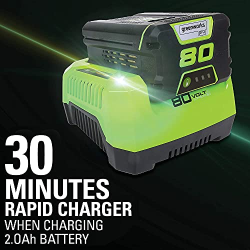 Greenworks Pro 80V 10 inch Brushless Cordless Polesaw, 2Ah Battery and Charger Included PS80L210