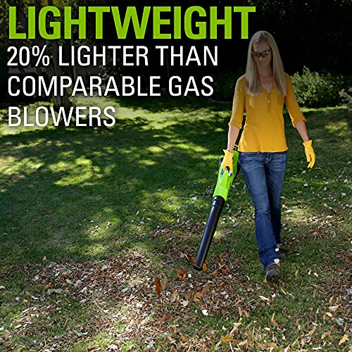 Greenworks 40V (110 MPH / 390 CFM) Cordless Axial Blower, 2.5Ah Battery and Charger Included