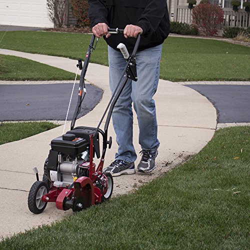 SOUTHLAND SWLE0799 79cc Walk Behind Gas Lawn Edger