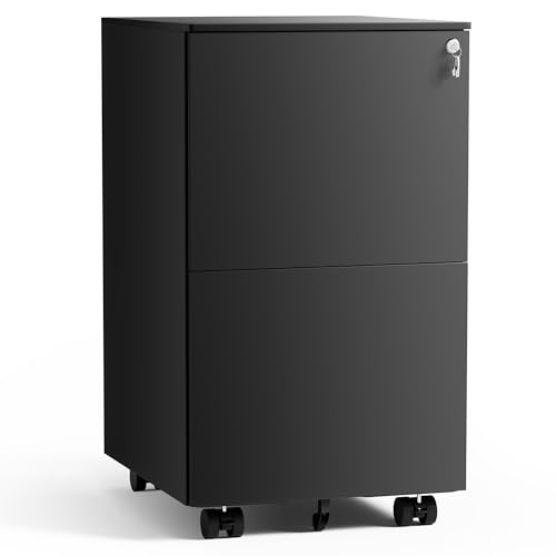 Warmiehomy Metal Mobile File Cabinets for Home Office 2 Drawer Filing Cabinet with Lock Rolling Office File Cabinet fits A4/Letter/Legal Size Fully Assembled (Black)