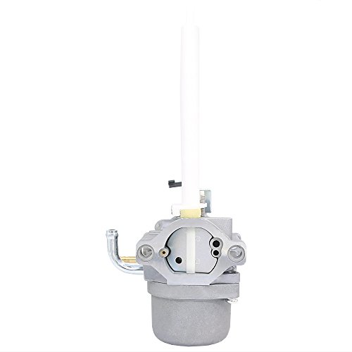 HOOAI 796122 Carburetor for Briggs & Stratton 794593 696737 793161 Ariens MTD Cub Cadet Snowblower Snowthrower Tractor Carburetor