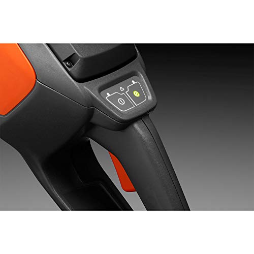 Husqvarna 14 Inch 120i Cordless Battery Powered Chainsaw (Battery Included),Orange