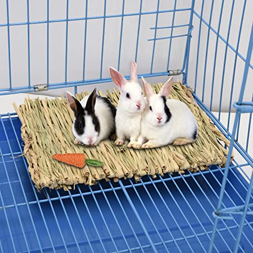 Grass House for Rabbits (1pc) and Grass mat for Rabbit Bunny(2pcs) Sangle Sopffy, Hand Woven Straw Hut, Small Animal Cages Hay Mat for Guinea Pig Parrot Rabbit Bunny Hamster Chinchilla Squirrel…