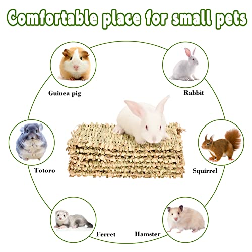 Grass House for Rabbits (1pc) and Grass mat for Rabbit Bunny(2pcs) Sangle Sopffy, Hand Woven Straw Hut, Small Animal Cages Hay Mat for Guinea Pig Parrot Rabbit Bunny Hamster Chinchilla Squirrel…