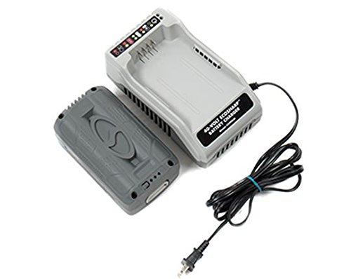 Snow Joe + Sun Joe iCHRG40 EcoSharp Lithium-Ion Battery Charger | 40 Volt , Gray