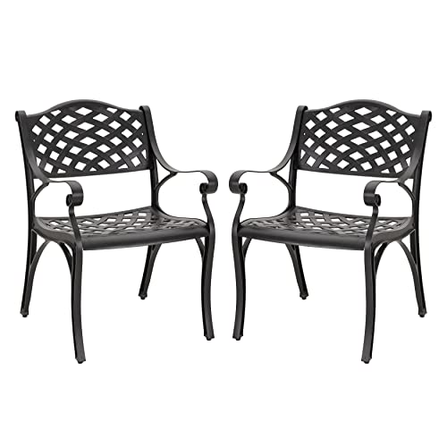 Nuu Garden Patio Dining Chairs Set of 2, Aluminum Outdoor Indoor Patio Chairs with Arms for Garden, Backyard, Porch, Black with Gold Points
