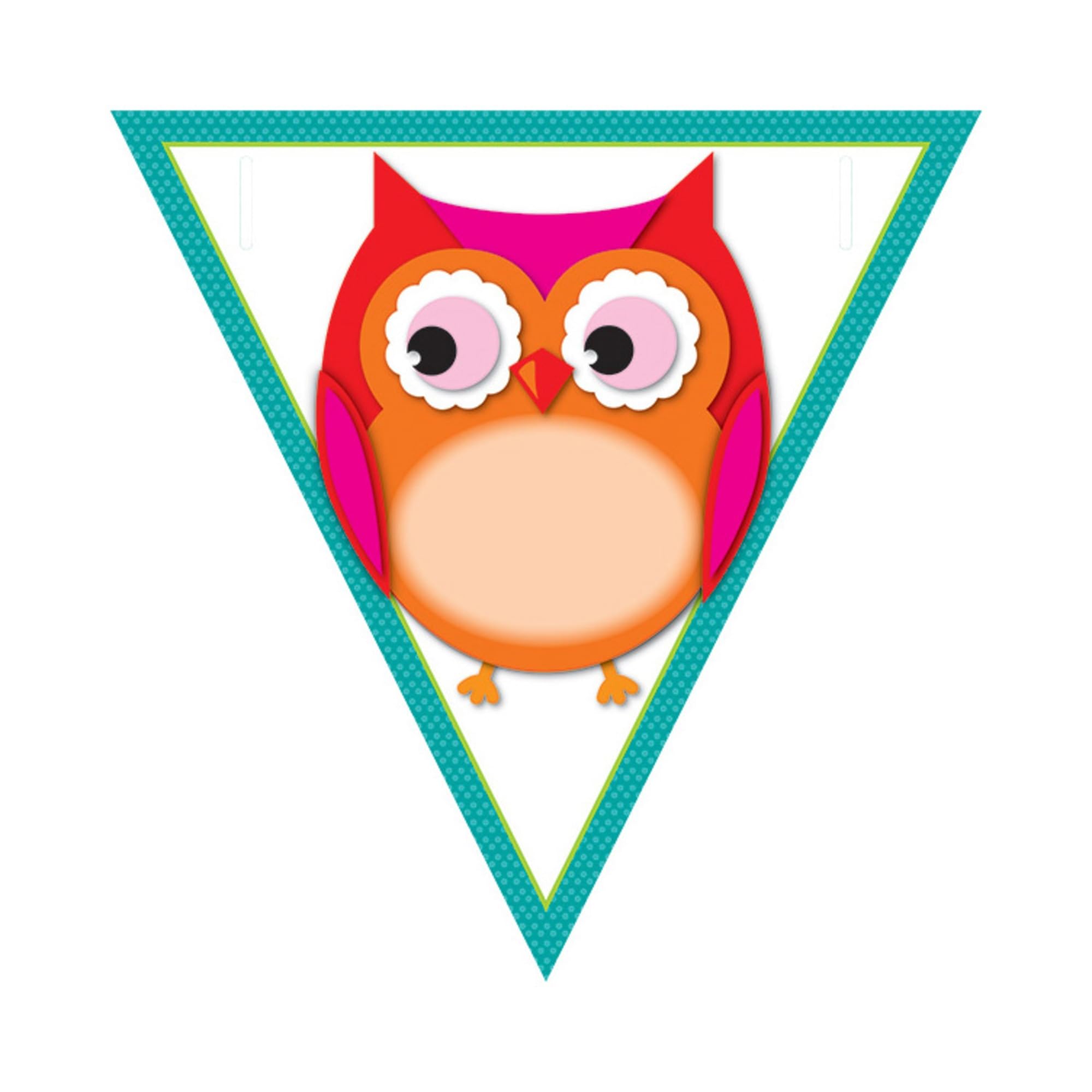 Carson Dellosa Banner, Colorful Owls (102038)