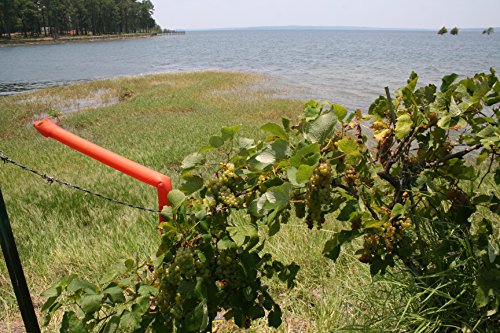AirCrow Inflatable Scarecrow Blower, 1/4 HP