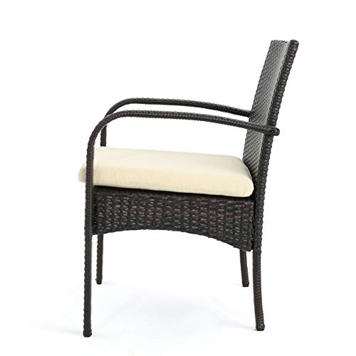 Christopher Knight Home Cordoba Outdoor PE Wicker Dining Chairs, 2-Pcs Set, Multibrown