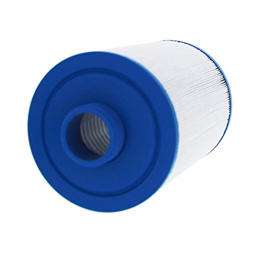 Tier1 Pool & Spa Filter Cartridge 2-pk | Replacement for Unicel 4CH-22, Freeflow Lagas FF-150, CLX TLX, Pleatco PFF25P4, Filbur FC-2399 and More | 25 sq ft Pleated Fabric Filter Media