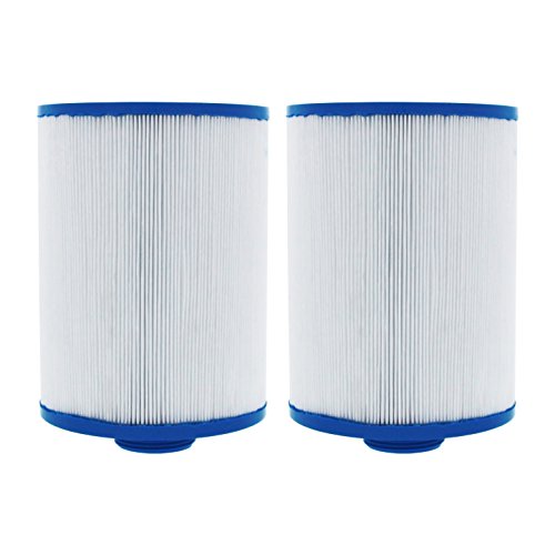 Tier1 Pool & Spa Filter Cartridge 2-pk | Replacement for Unicel 4CH-22, Freeflow Lagas FF-150, CLX TLX, Pleatco PFF25P4, Filbur FC-2399 and More | 25 sq ft Pleated Fabric Filter Media