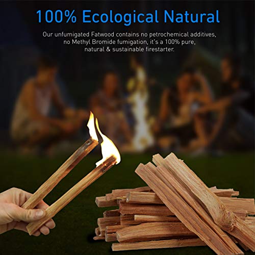 EasyGoProducts EGP-STIX-007 Eco-Stix Fatwood Fire Starter Kindling Firewood Sticks β Bulk Packaged Firestarters β 100% All Natural Resin Ocote 5LB, 5 Lbs