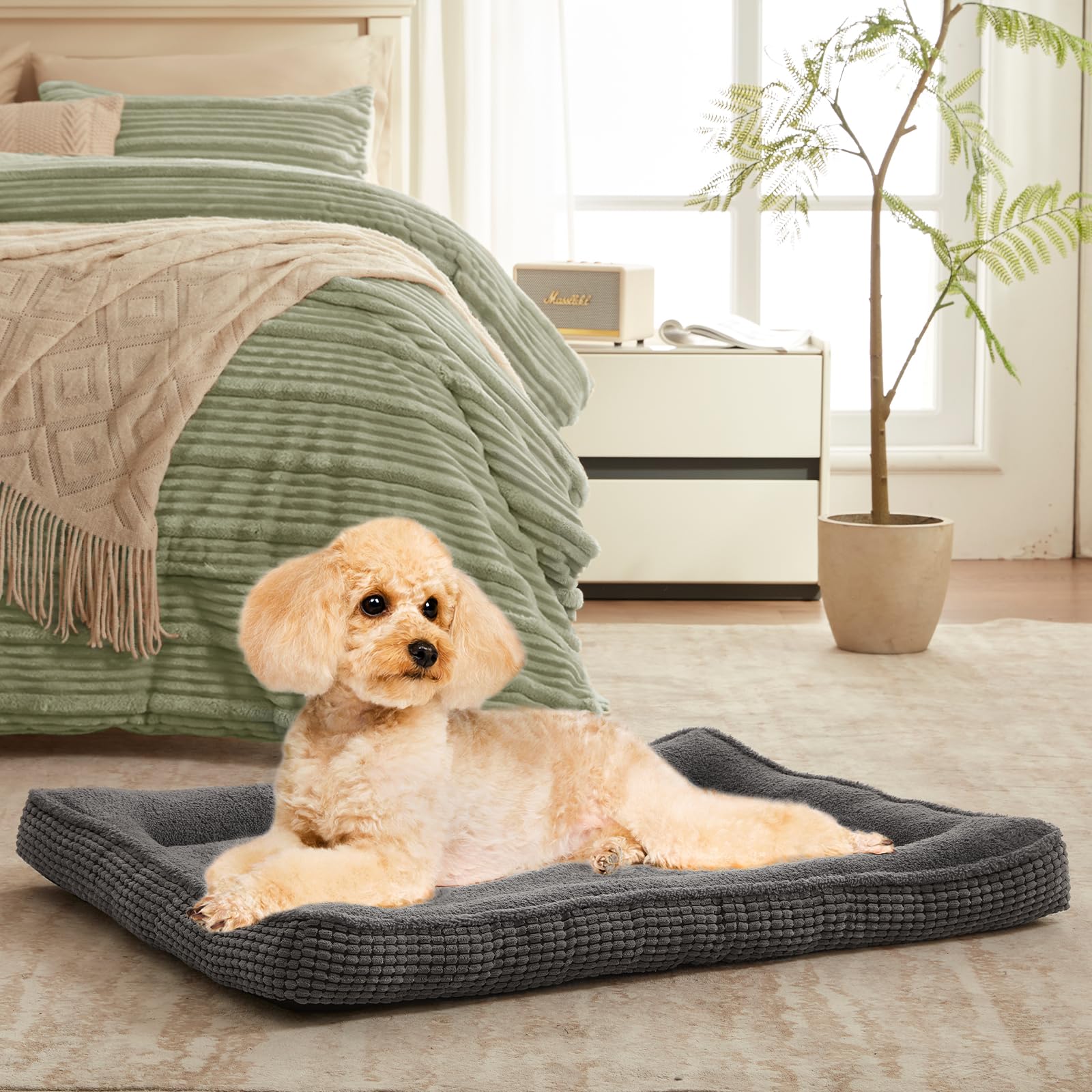 WINDRACING Dog Crate Bed for Large, Medium Dog, Washable Dog Bed for Crate with Bolster, Pet Crate Beds for Large Sized Dogs with Removable Cover and Non Skid Bottom, 36 x 23, Gray