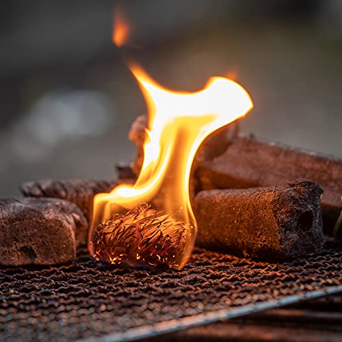 ECHSUM Wood Charcoal Fire Starter - 100Rolls, Fat Wood Firestarter for Firepit Stove Fireplace, Grill Camping Wood Fire Starter for Fatwood Sticks BBQ Survival